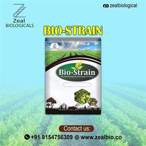 Mix Bacteria Pseudomonas Azatobacter Azospirillum Rhizobium Trichoderma At ₹ 170 Kg