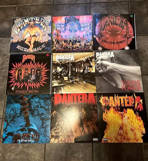 1049 Best Rpantera Images On Pholder Real
