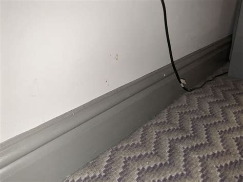 Hotel Room Does This Look Like Bed Bug Traces Rbedbugs