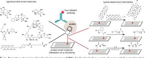 Figure 1 From Small Molecule Microarrays As Tools In Ligand Discovery
