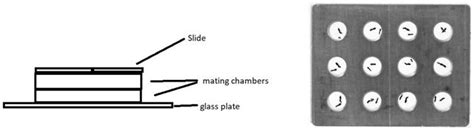 Peer Review In Decoding The Genetic And Chemical Basis Of Sexual Attractiveness In Parasitic