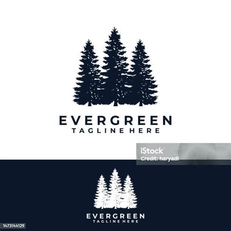 나무 목재 숲 벡터 템플릿 상록 소나무 가문비 나무 삼나무 그림 그림 야외 황야 빈티지 벡터 가로수에 대한 스톡 벡터 아트 및 기타 이미지 Istock