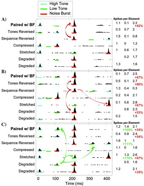 order sensitive plasticity in adult primary auditory cortex pnas