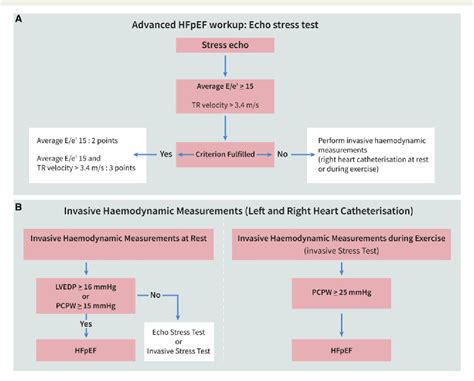 Figure 4 From How To Diagnose Heart Failure With Preserved Ejection