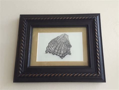 Oyster Shell Fossil Pencil Drawing Etsy