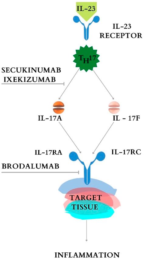 The Treatment With Interleukin 17 Inhibitors And Immune Mediated