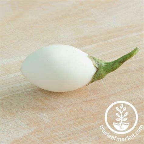 Eggplant Seeds White Egg Farm And Garden Vegetable Seeds For Planting