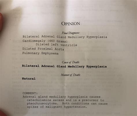 Help With Autopsy Report Rforensics