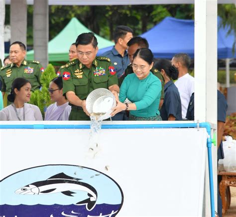 ကာကွယ်ရေးဦးစီးချုပ်ရုံး ကြည်း၊ ရေ၊ လေ မိသားစုများ၏ ၂ဝ၂၅ ခုနှစ်၊ မိုးရာသီ ငါးမျိုးစိုက်ထည့်ခြင