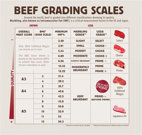 Grading Lone Mountain Cattle