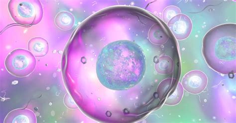 Viaje Al Mundo De Las Células Un Manual Imprescindible Sobre Los