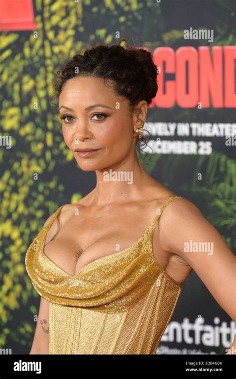Los Angeles Usa December 13 2025 Thandiwe Newton At The Premiere Of