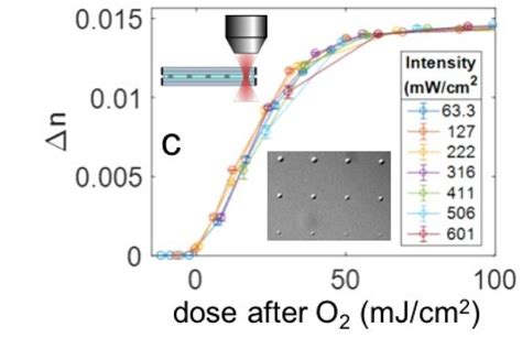 3d Optical Waveguides Mcleod Lab University Of Colorado Boulder