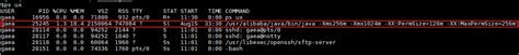 cpu load过高问题排查 流年素心 博客园