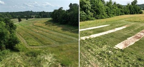 Uva Landscape Architects Seek To Fight Flooding The Natural Way