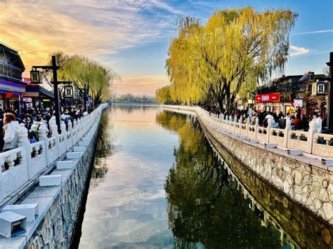 Water Lake View Of Tree Reflection Editorial Stock Image Image Of