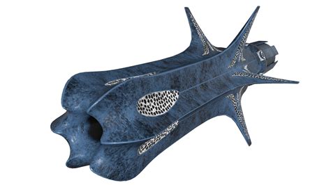 Vger Model Turbosquid 1967824