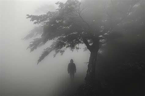 A Lone Silhouette Walking Through A Dense Foggy Forest Branches Barely