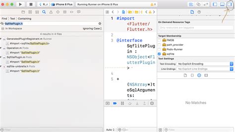 Ios Cant Build A Flutter Project With Pathprovider Dependency