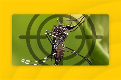 The World Is All Abuzz About Tinyml