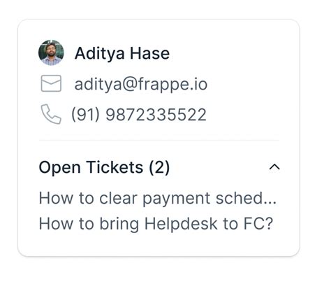 Broken UI Contact Panel Issue Frappe Helpdesk GitHub