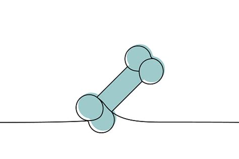 인간의 뼈 한 줄 색깔 연속 그림 인간 장기 연속 다채로운 한 줄 그림 벡터 미니멀리스트 선형 일러스트레이션 건강관리와 의술에 대한 스톡 벡터 아트 및 기타 이미지 Istock