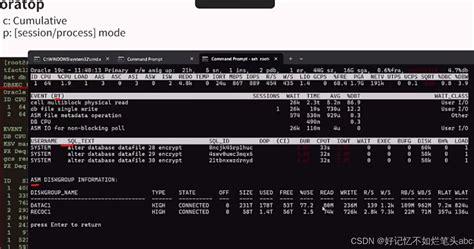 Exadata一体机系统监控常用命令oratopoclumon Csdn博客