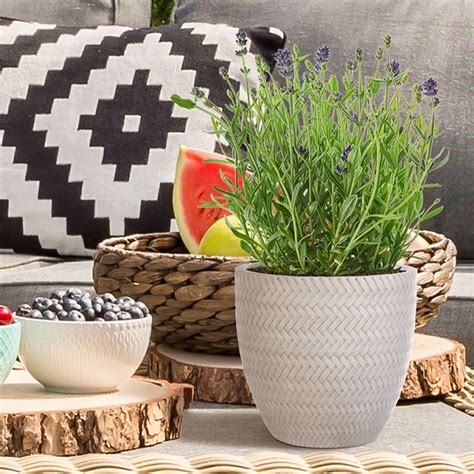 Round Garden Planters Buy Circular Plant Pots Online Uk Idealist
