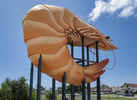 Show Us Your Pix Here Odd Weird Unusual Or Eye Catching Things