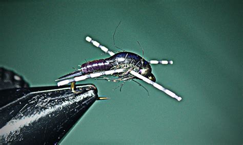 The Tying Bench Purple Products