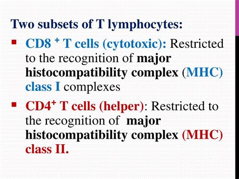 Ppt Immune Cells Receptors And Markers Lymphoid Tissues And