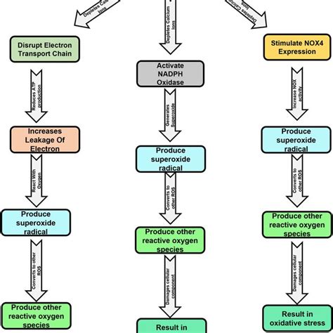 Schematic Representation Of Environmental Fluoride From Different Download Scientific Diagram