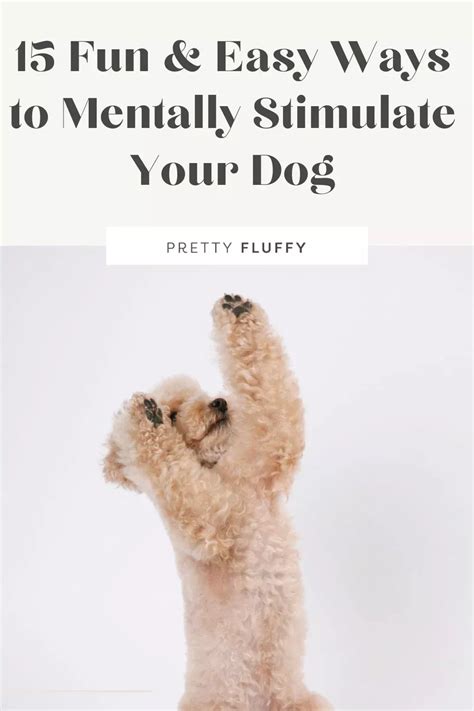 15 Fun Easy Ways To Mentally Stimulate Your Dog Artofit