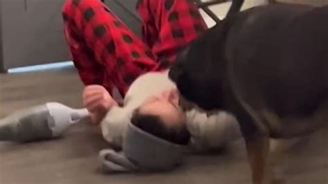 Una Mujer Quiso Matar A Un Insecto Y Terminó Con Un Tremendo Golpe Que Se Viralizó Infobae