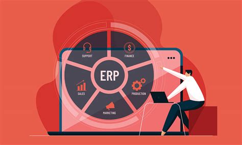Managing Erp Systems Ima