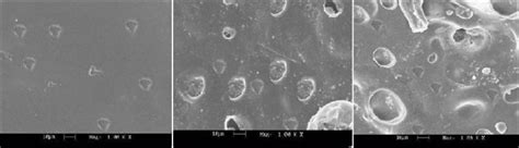 Sem Micrographs Showing The Formation Of Pores On Surface Of Tablets