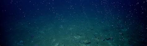 Machine Learning Based Automated Detection Of Seafloor Gas Seeps Noaa Ocean Exploration