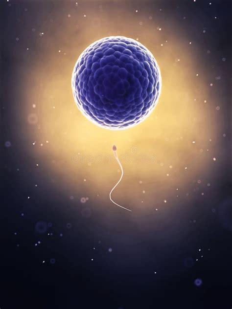 A Cell Division Process Stock Illustration Illustration Of Living