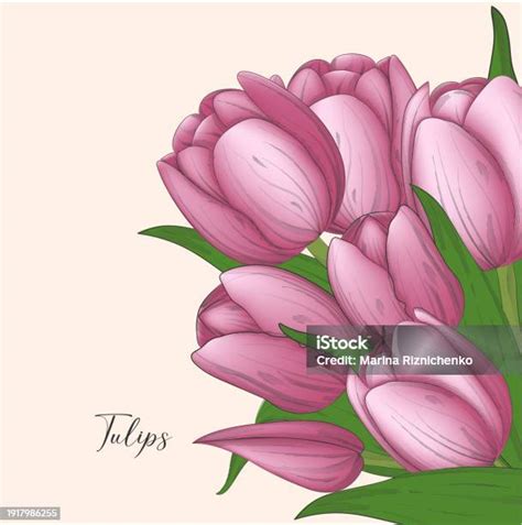 손으로 그린 봄 꽃 배너입니다 컬러풀한 핑크 튤립 부활절 여성의 날 발렌타인 데이 인사말 카드 판매 전단지 청첩장에 좋습니다 결혼식에 대한 스톡 벡터 아트 및 기타 이미지
