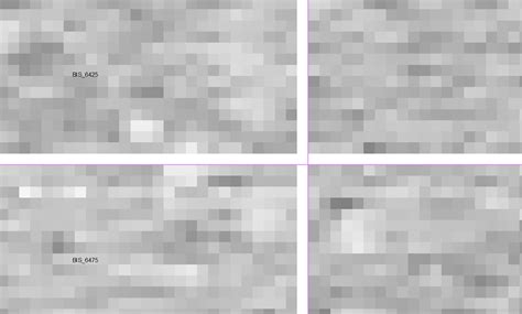 Tiling A Raster With A Shapefile Results In Lost Pixels · Issue 7226