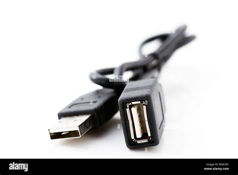 One Black Usb Cable Isolated On White Background Stock Photo Alamy