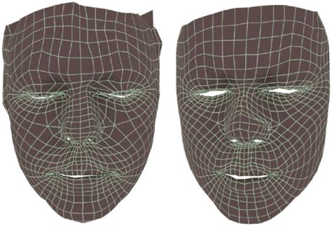A Resulting Warped Mesh From The 3dmd Photo Pair And Frontal Face