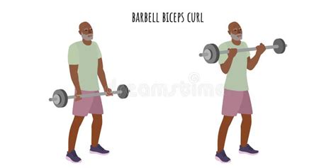 Biceps Curl Exercise Stock Illustrations 163 Biceps Curl Exercise Stock Illustrations Vectors