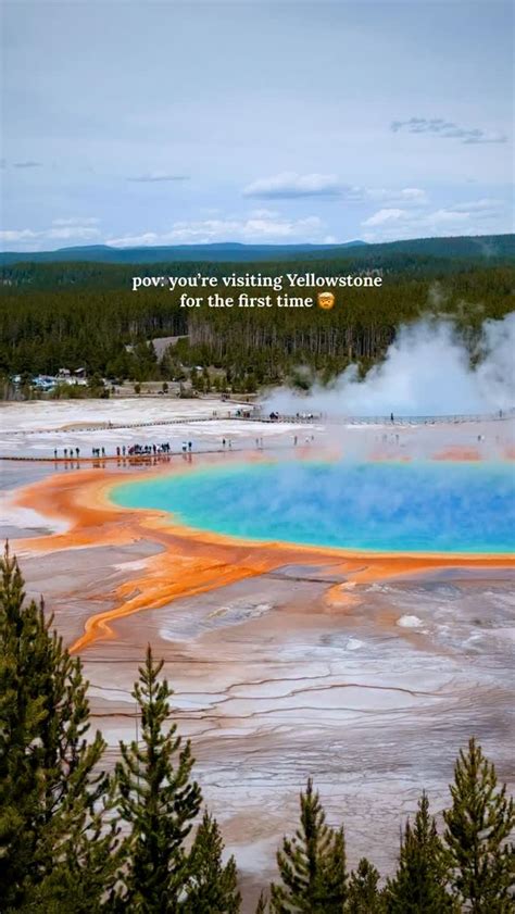 Elinaways The Best Views In Yellowstone National Park 🦬 If Youre