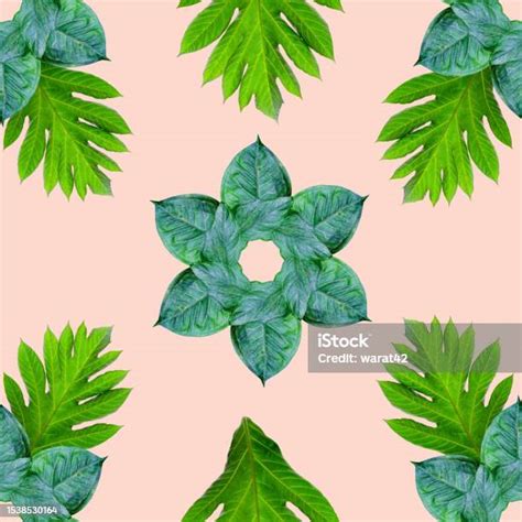 열대 이국적인 식물 잎 녹색 잎 패턴은 자연 개념 섬유 및 직물 디자인을 위한 추상적인 배경 분홍색 배경에 격리된 새로운 색상으로 만들어집니다 0명에 대한 스톡 사진 및