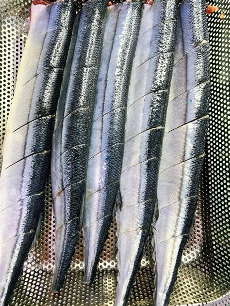 꽁치소금구이 광파오븐 생선구이