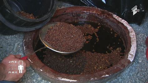 უნიკალური ქართული ტექნოლოგია ქვევრის ღვინო გიორგი კაკაბაძის სიუჟეტი Youtube