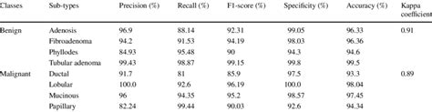 Precision Recall F1 Score Specify Accuracy And Kappa Coefficients