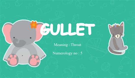 Gullet Name Meaning