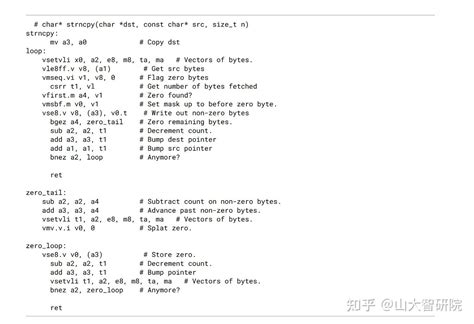 RISC V V 矢量扩展完结 知乎